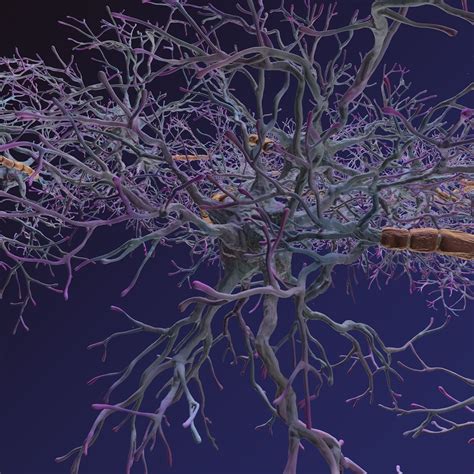 Neural Network 3d Model 119 C4d Ma Fbx Obj Free3d