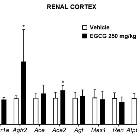 Relative Mrna Expression Of Ras Related Genes In Renal Cortex Data