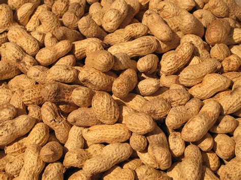 Two New Ways Peanut Allergy Living Is Becoming Easier Allergy Cookie