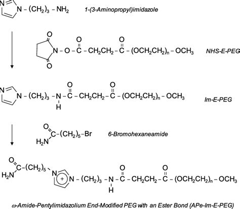 Synthesis Scheme Of Ape Im E Peg Download Scientific Diagram