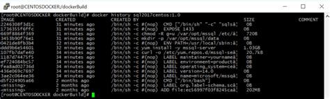 Create SQL Server On Linux Docker Container Using Dockerfile Part 5
