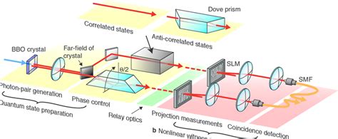 Schematic Of The Setup The Experiment Has Two Main Stages A Quantum Download Scientific