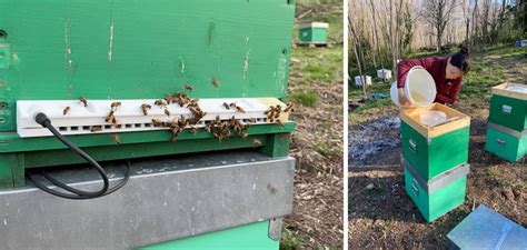 Bee Counter Sensor Accuracy Evaluation Ipollinate