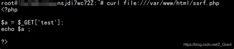 Curl和gopher协议（ssrf的利用）ssrf Curl Csdn博客