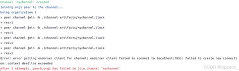 Fabric搭链遇到问题：failed To Read Chaincode Package At Basictargz Csdn博客