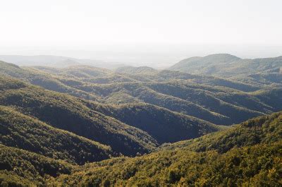 Stages Of Sleep Tumbex