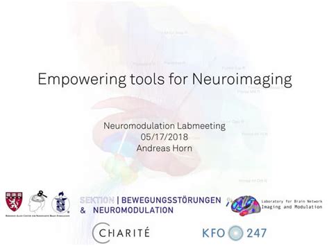 Empowering Tools For Neuroimaging Pdf