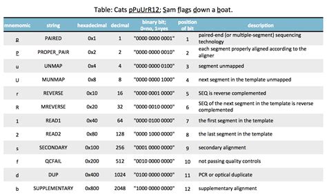 bam to fastq conversion number of reads do not match