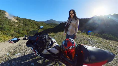 😻კატაობა №14 Youtube