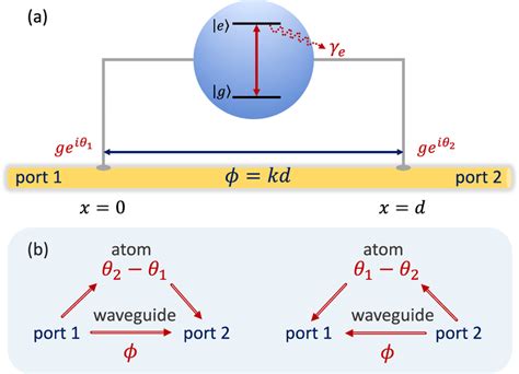 Schematic Representation Of The Model And The Photon Paths A A Download Scientific Diagram