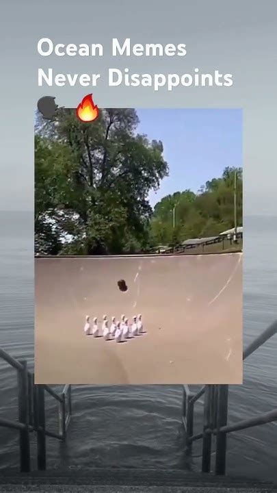 Follow For More Shorts Shorts Youtube