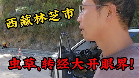 辛辛苦苦顛簸一路居然白跑一趟不过见到了真實的虫草和险滩美景也算乘兴而来尽兴而归大勇遊記DaYong Life YouTube