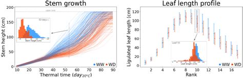 Automatic Extraction Of Architecture And Development Traits At Organ Download Scientific