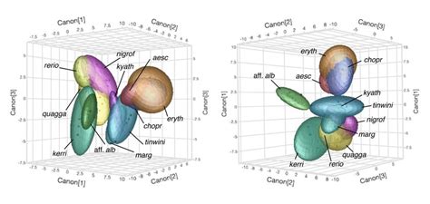 Multivariate Pattern Space Separates Pattern Types And Species Shown Download Scientific