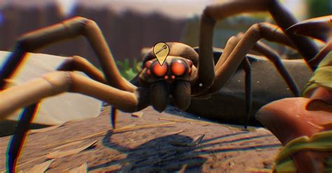 Grounded Spiders How To Kill Wolf Spiders And Orb Weavers