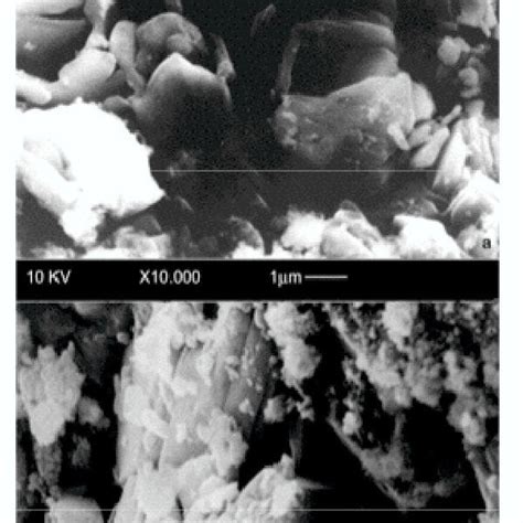 Electron Scanning Micrographs Of Fracture Surfaces Of Specimens A