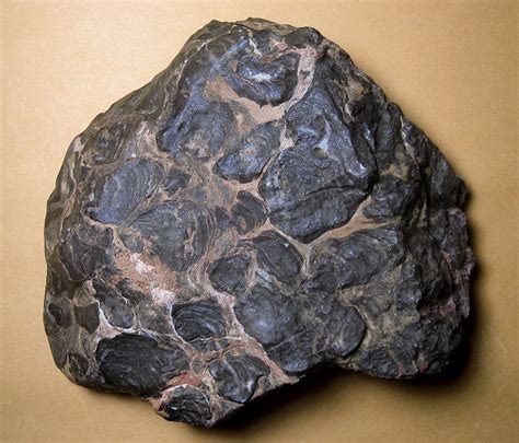 Stromatolite 8 Cochise College Geology