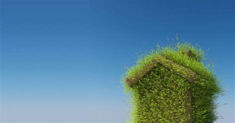 Greenpass Certification