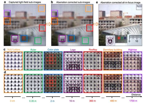 Light Field Rendering Software Shelly Lighting