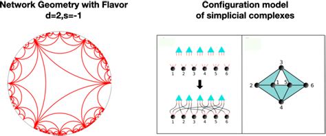Schematic Representation Of The Two Classes Of Simplicial Complex Download Scientific Diagram