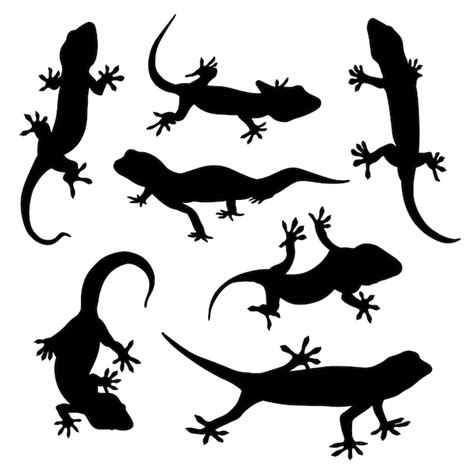 Set Van Gekko Silhouet Vector Premium Vector