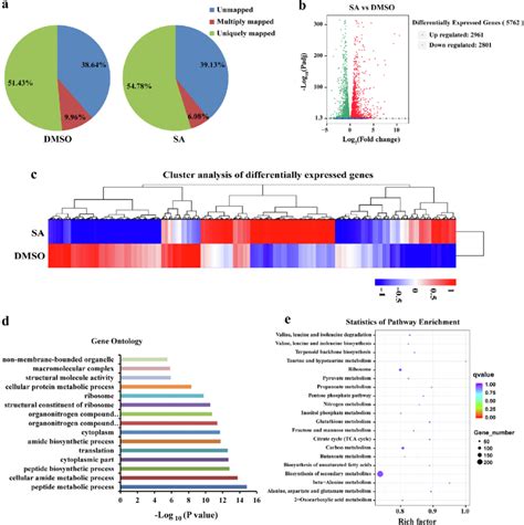 Rna Seq Analysis Of F Oxysporum Hyphae Treated With Dmso And Sa A