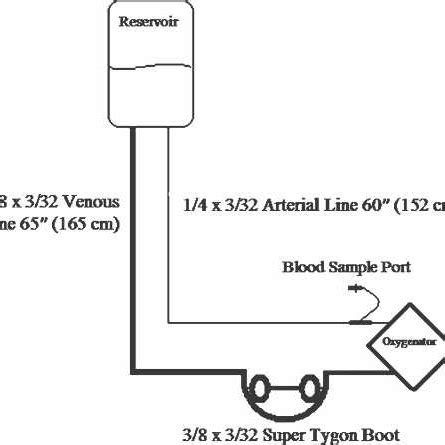 Schematic Of Circuit Used In This Experiment Download Scientific Diagram