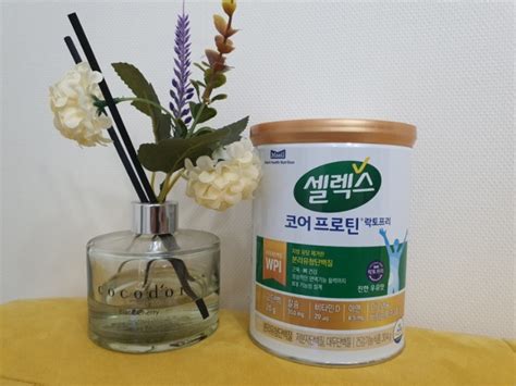 헬스 단백질보충제 효과 및 분리유청단백질 추천 셀렉스 코어프로틴 락토프리 네이버 블로그