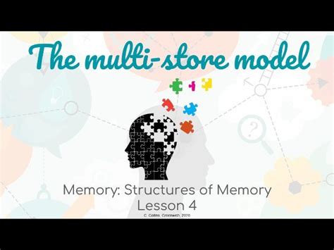 Aqa Gcse Psychology The Multi Store Model Of Memory Memory Lesson 4 Teaching Resources