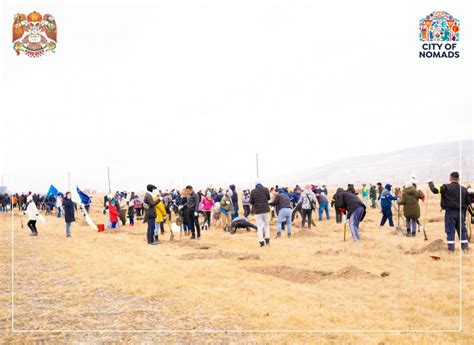 100 мянган модыг Туул голын эргийн хамгаалалтад тарина