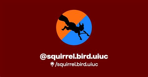 Squirrelbirduiuc Instagram Linktree