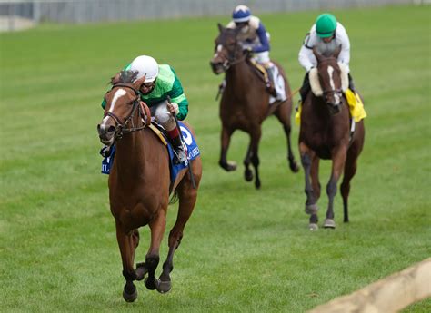 Defending E P Taylor Winner Likely Favored For Repeat