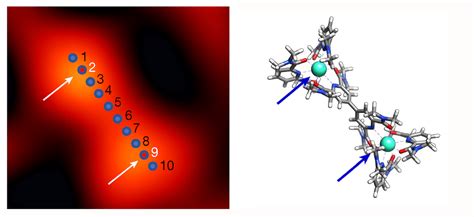 Scanning Tunneling Microscope Dna Scanning Tunneling Microscope Dna