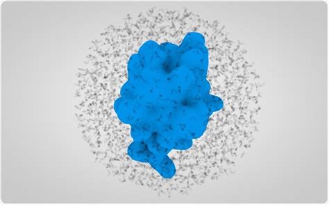 Types Of Protein Post Translational Modification