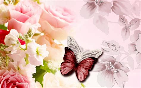 Butterfly Kisses Wallpapers Wallpaper Cave