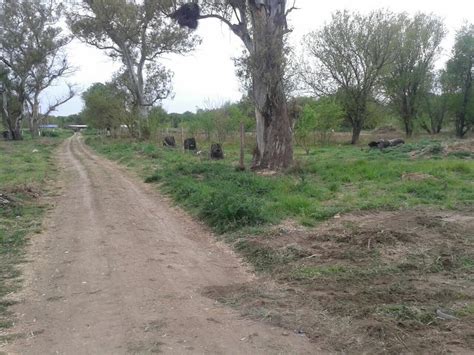 Cortarán La Ruta En Falda Del Carmen Por Privatización De Espacios Públicos