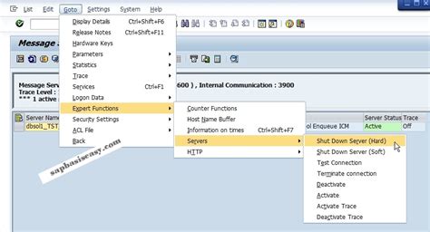 How To Monitor Sap Message Server Sap Basis Easy How To Monitor Sap Message Server Sap Basis Easy