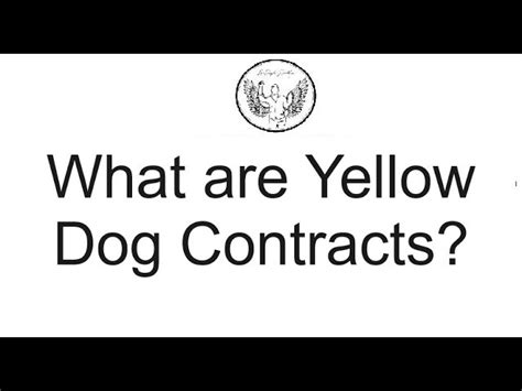 Qué Hicieron Los Trabajadores Cuando Firmaron Contratos De Perros Amarillos