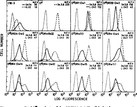 Figure 1 From Hla Dr Polymorphism Affects The Interaction With Cd4 Semantic Scholar