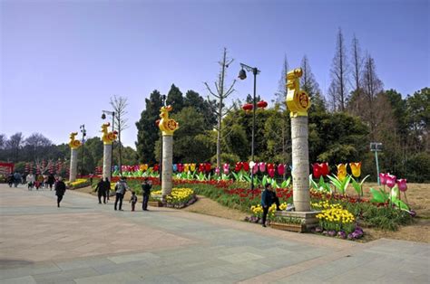 华表插图图片素材 华表插图设计素材 华表插图摄影作品 华表插图源文件下载 华表插图图片素材下载 华表插图背景素材 华表插图模板下载 搜索中心