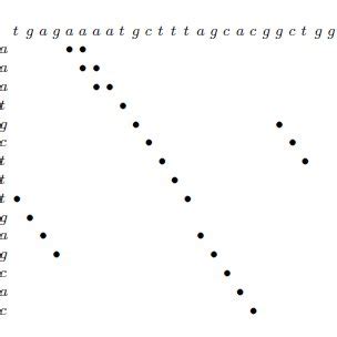 PDF USING SEQUENCE ALIGNMENT ALGORITHMS IN SOME APPLICATIONS IN BIOINFORMATICS