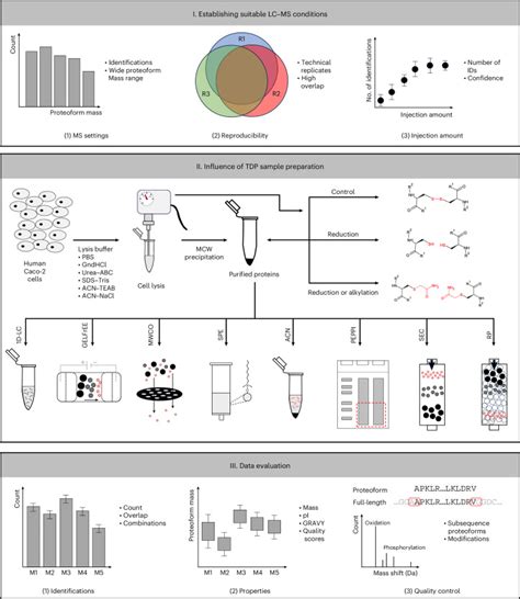 Influence Of Different Sample Preparation Approaches On Proteoform Identification By Top Down
