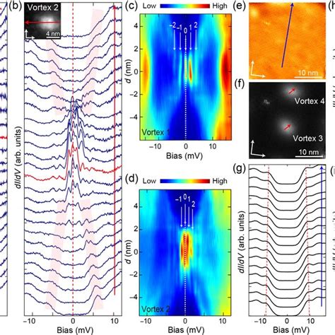 Topography Superconducting Gap Qpi And Vortex Mapping Of ðli 084 Fe