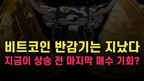 비트코인 반감기는 지났다 지금이 상승 전 마지막 매수 기회인가 Youtube