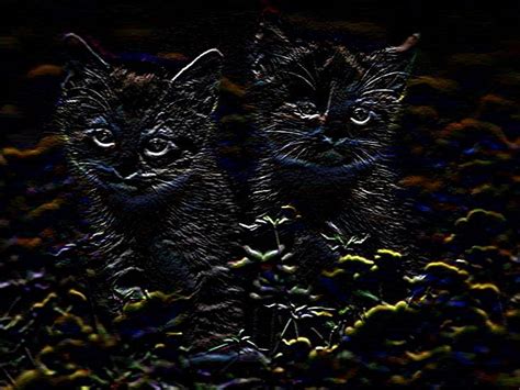 Implementing Image Processing Kernels From Scratch Using Convolution In