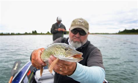 The Fiberglass Manifesto The Bi Chronicles A Blanket Of Clouds