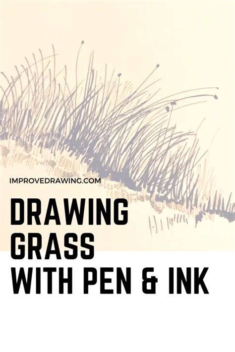 Drawing Grass With Pen And Ink