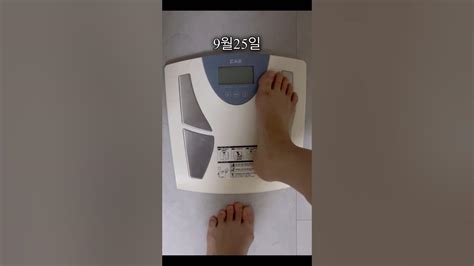 도시락 싸서 알바가는 날다이어트 건강 먹방 Youtube