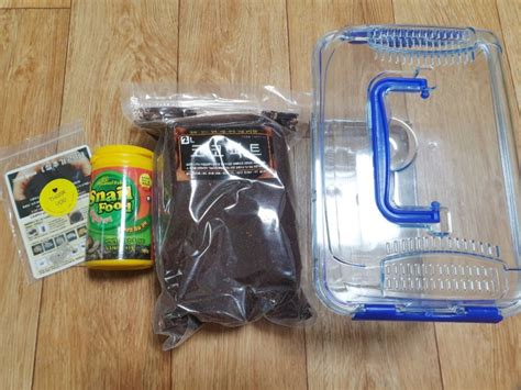 달팽이 키우기 명주달팽이 달팽이집 코코피트 달팽이먹이 네이버 블로그