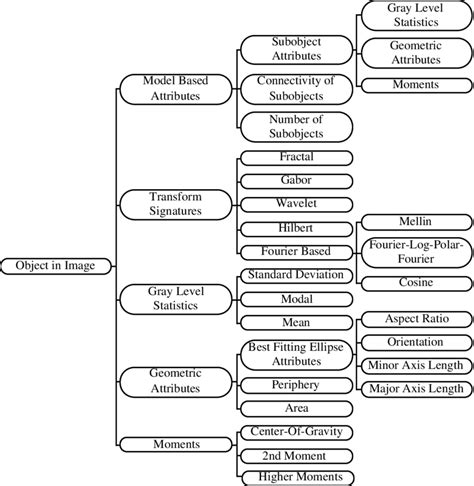 32 1 Object Feature Hierarchy Download Scientific Diagram